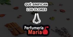 Qué significado tienen los olores | Perfumería María | Murcia